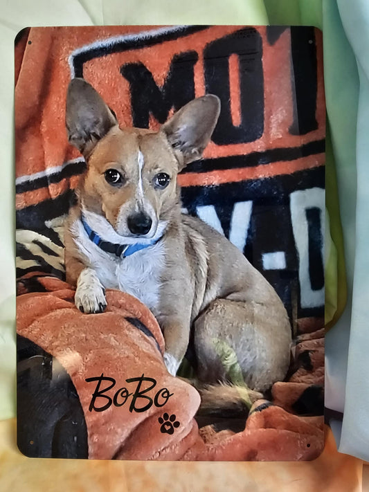 SIGNS – Chaotic Chaos Designs